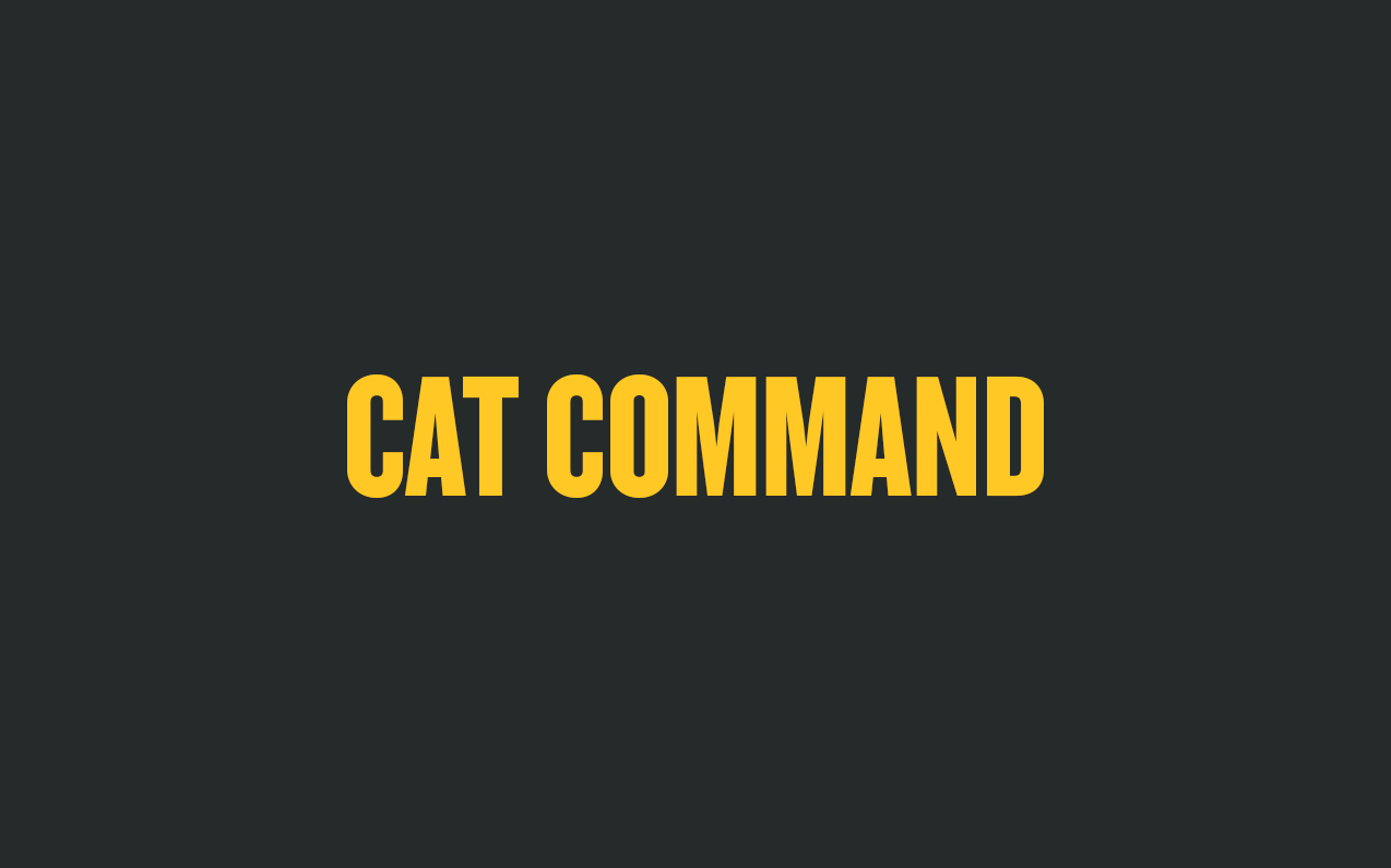 Cat® Technology Solutions in CO, NM, TX | Wagner Equipment Co.